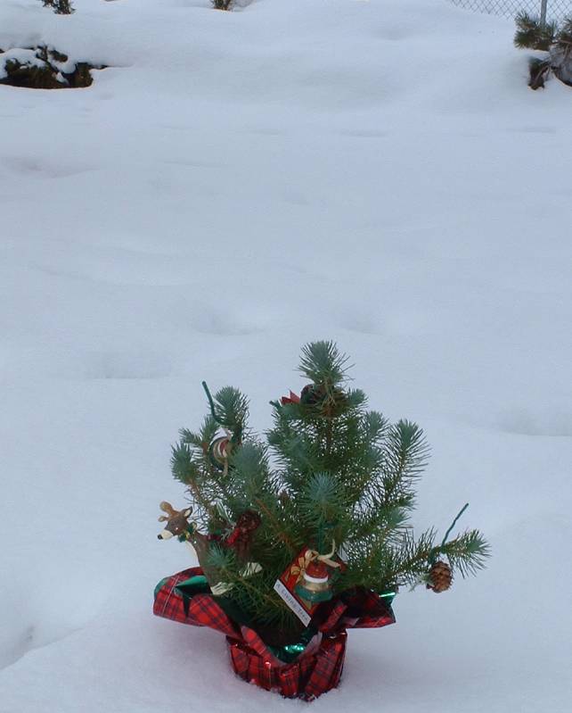 Reflection on Rejection – stuart james beall